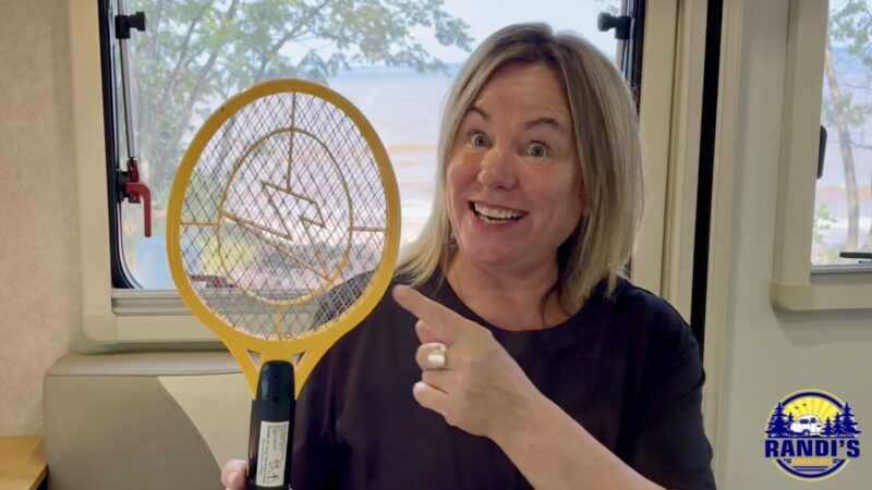 ZAP IT! Bug Zapper Review: Gimmick or Game-Changer for RV Life? - Randi ...